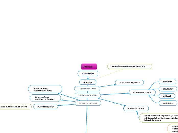 Artérias - Mapa Mental - Amostra